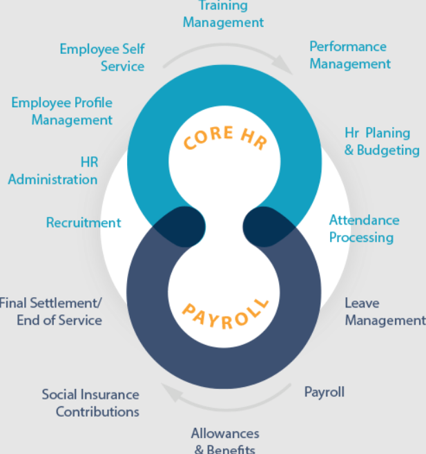 Microsoft Dynamics 365 ERP - Dynapro